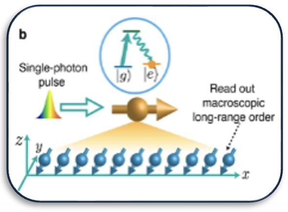 Quantum Detectors And Sensors